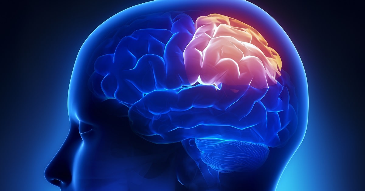 アインシュタインとはどんな人？生涯を紹介【名言や相対性理論、脳やIQも解説】 - 2ページ目 (3ページ中) - レキシル[Rekisiru]