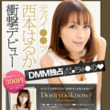 【破格のギャラ】AVに転向した女性芸能人・タレント25選 - 13ページ目 (13ページ中) - レキシル[Rekisiru]